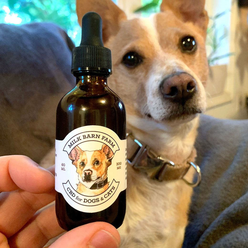 Tincture for Dogs and Cats – Milk Barn Farm